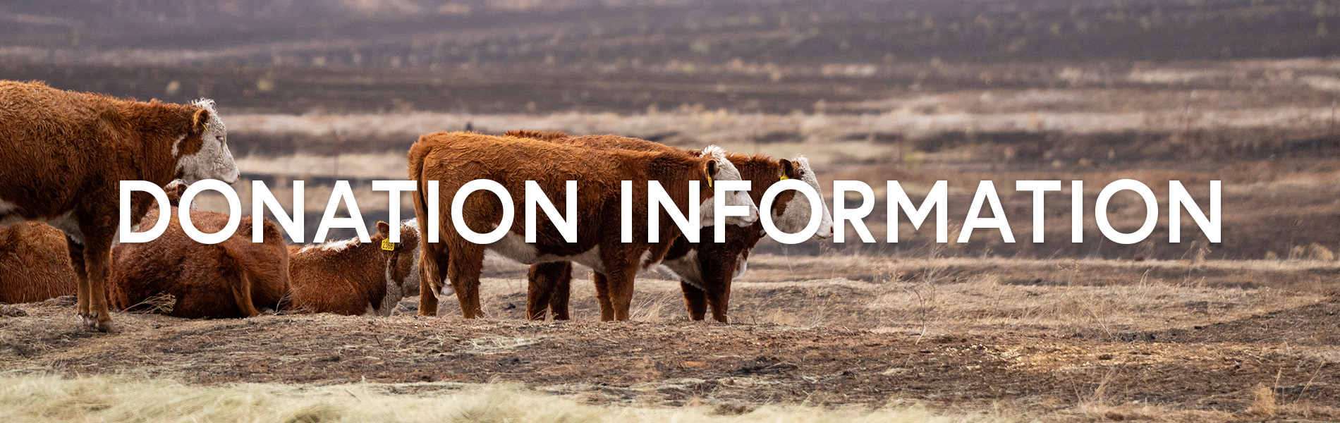 DISASTER ASSISTANCE 3