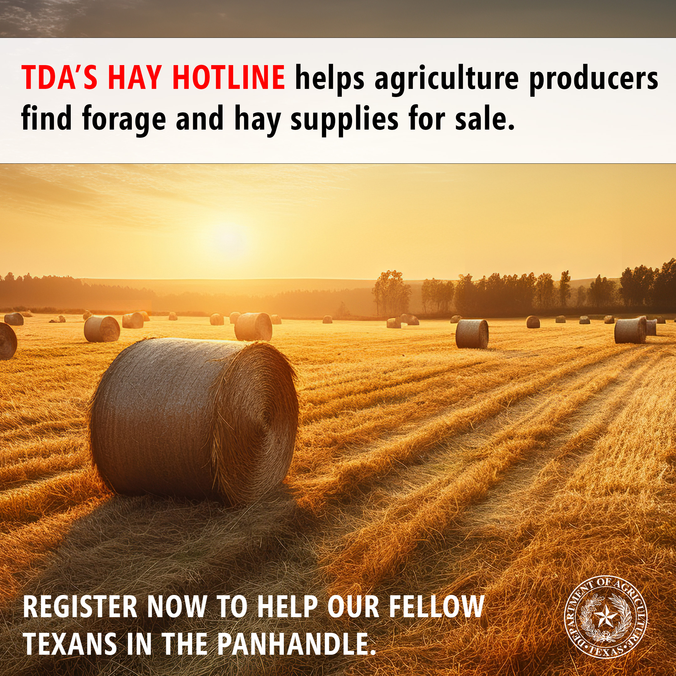 HAY HOTLINE WEBSITE SQUARE